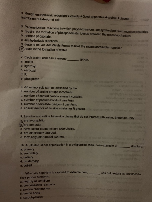 Solved d. Rough endoplasmic reticulumvesicle-Golgi | Chegg.com