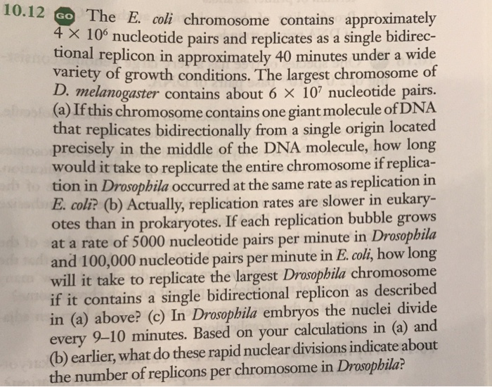 Solved 012 Ao The E Coli Chromosome Contains Approximately 7480