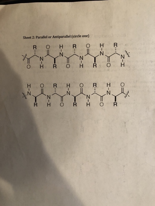 Solved What to submit: Draw in the hydrogen bonds for | Chegg.com