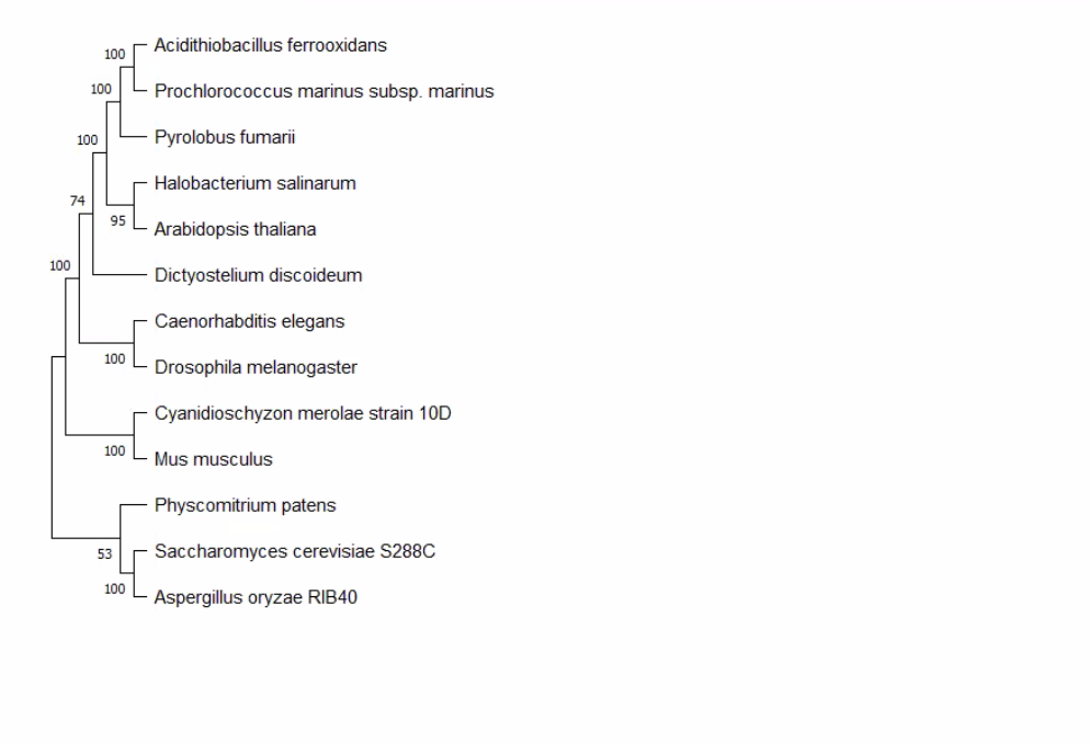 Identify the sister taxa and the clades on the | Chegg.com