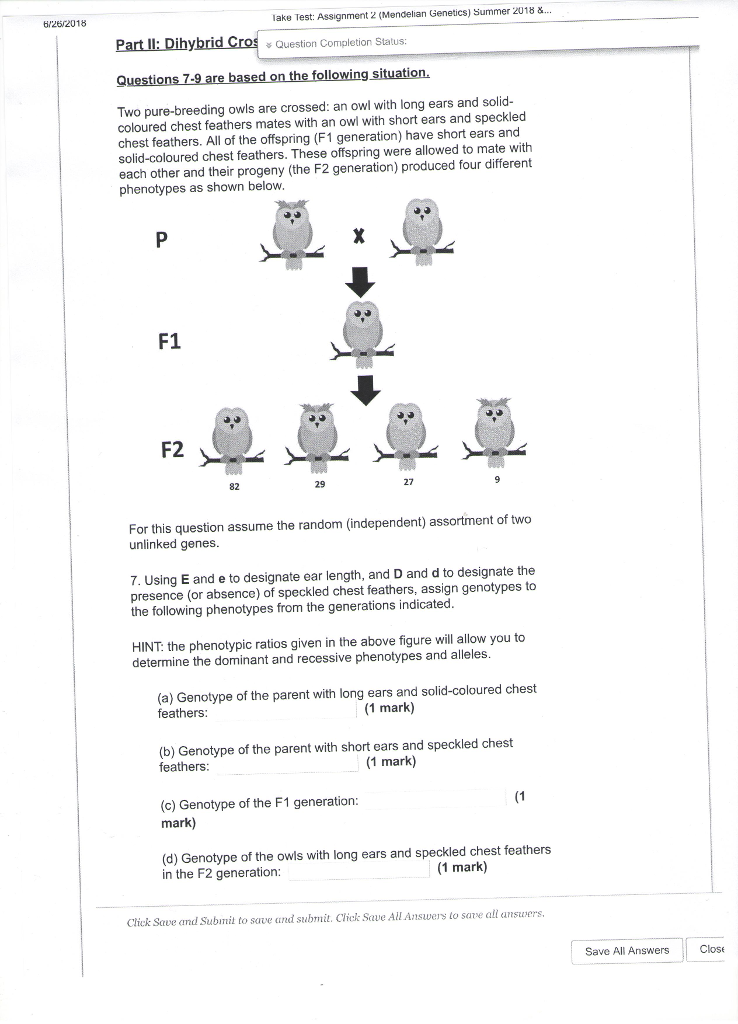 Solved 626/2018 lake Test: Assignment 2 (Mendelian Genetics) | Chegg.com