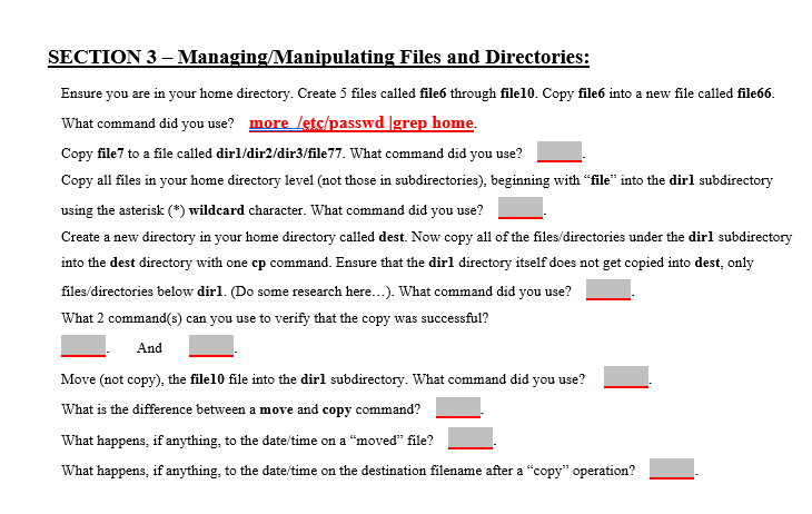 Solved SECTION 3 - ﻿Managing/Manipulating Files and | Chegg.com