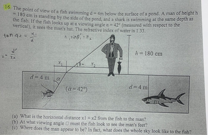 Solved 16. T he point of view of a fish swimming d-4m below | Chegg.com