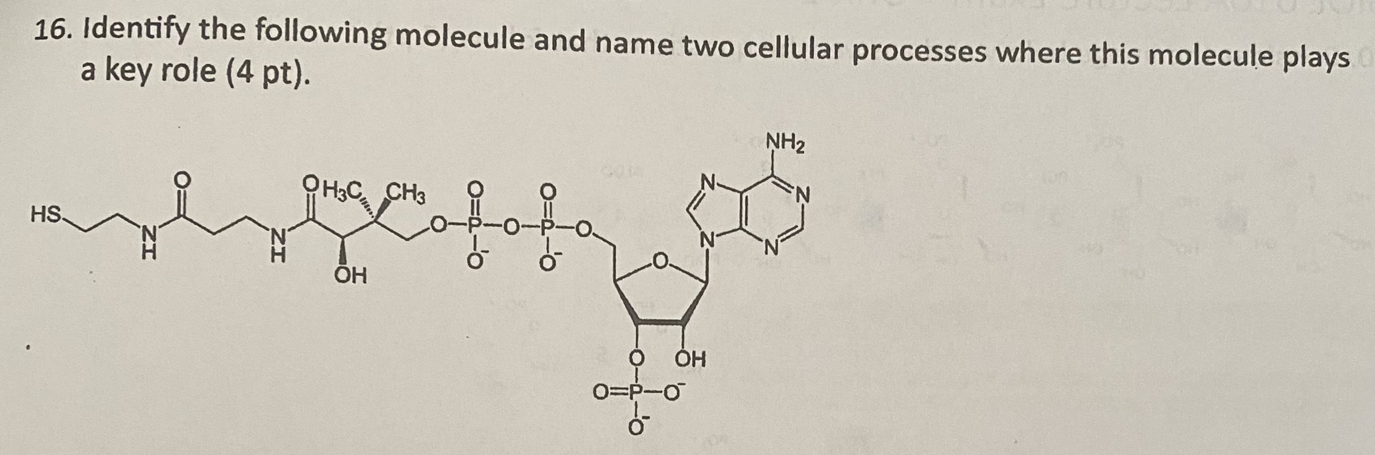 Solved 16. Identify the following molecule and name two | Chegg.com