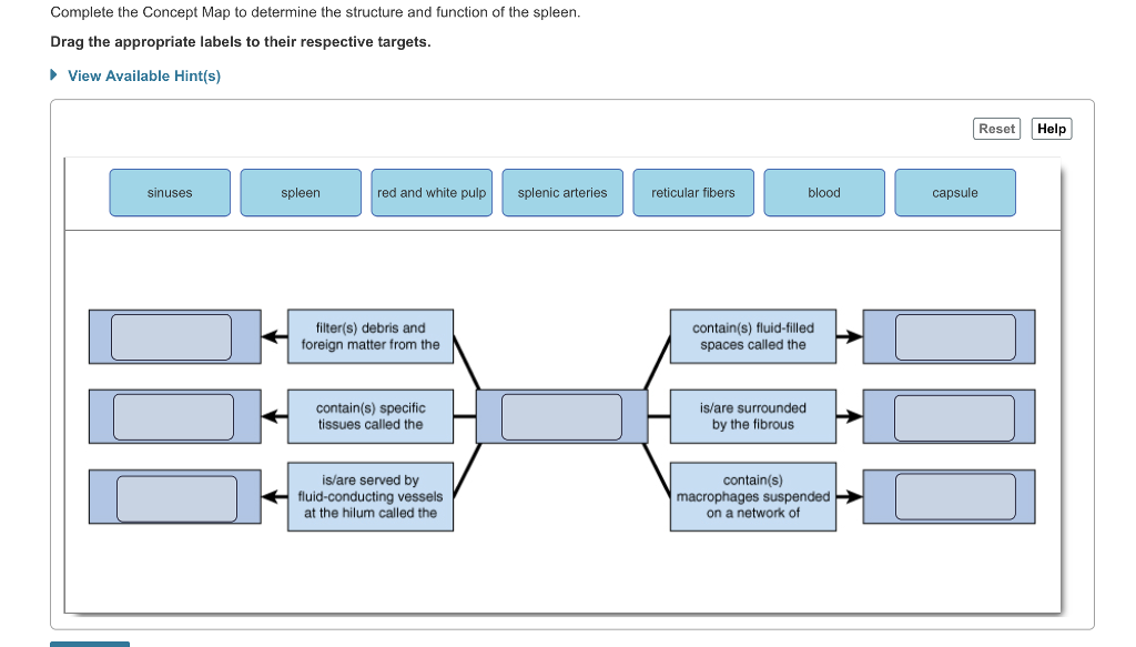 Solved Part A - Lymph Node Structure and Function Complete | Chegg.com