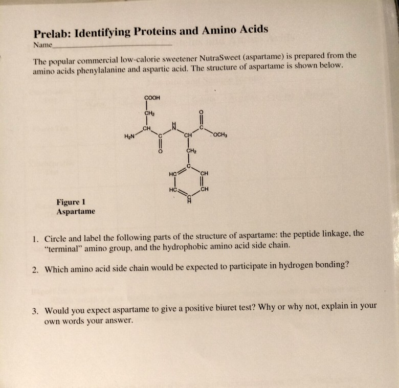 Solved Prelab: Identifying Proteins and Amino Acids Name The | Chegg.com