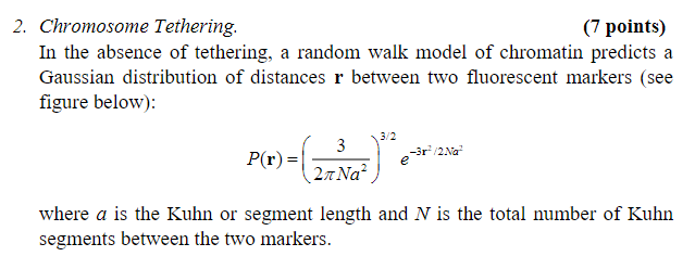Solved Chromosome Tethering. (7 points) In the absence of | Chegg.com
