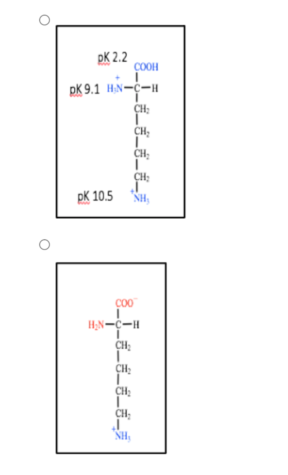 Solved Which structure predominates at pH13? | Chegg.com
