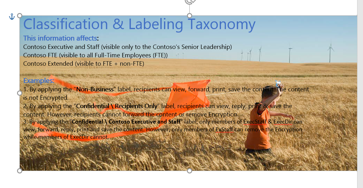 Solved Classification & Labeling Taxonomy This information | Chegg.com