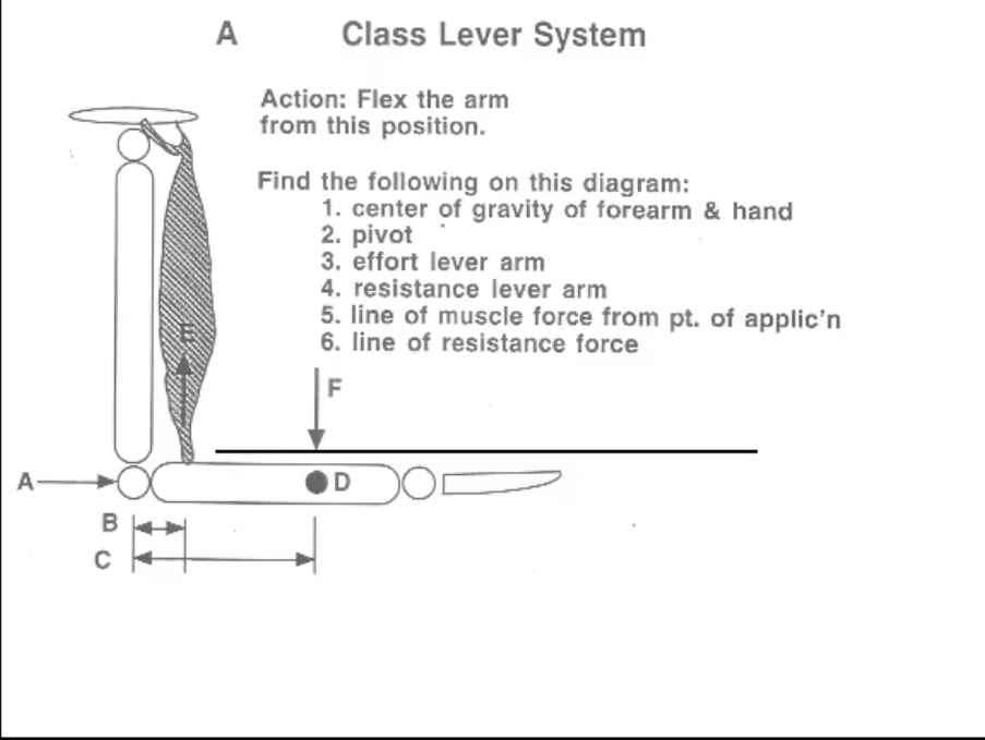 Solved Action: Flex the arm from this position. Find the | Chegg.com