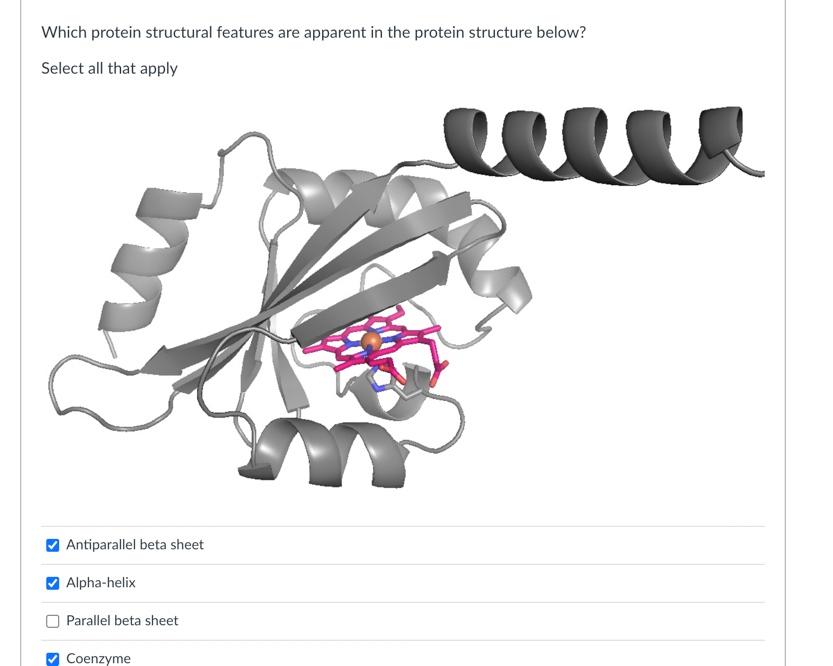 Solved Which protein structural features are apparent in the | Chegg.com