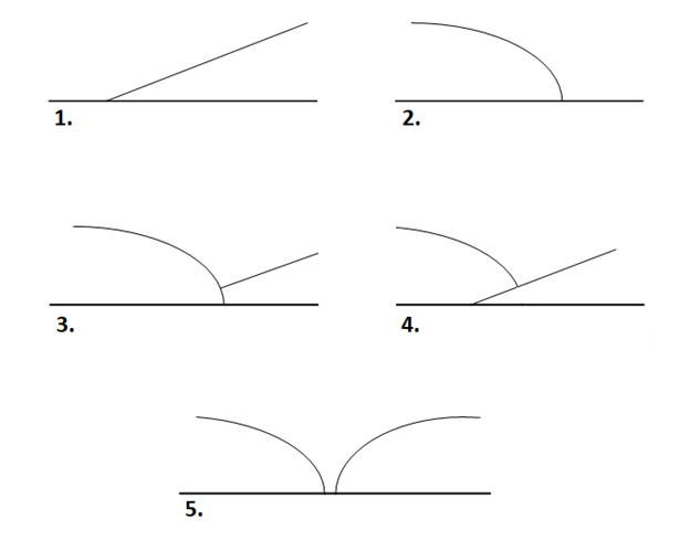 Solved identify each of the frontal profiles in Figure | Chegg.com