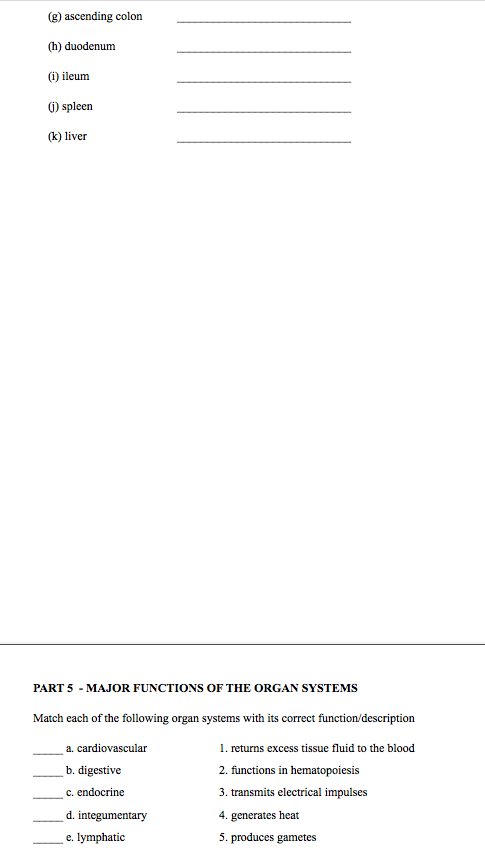 PART 1 - LOCATING & DESCRIBING MAJOR ORGANS & THEIR | Chegg.com