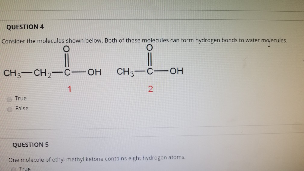 Solved QUESTION 4 Consider the molecules shown below. Both | Chegg.com