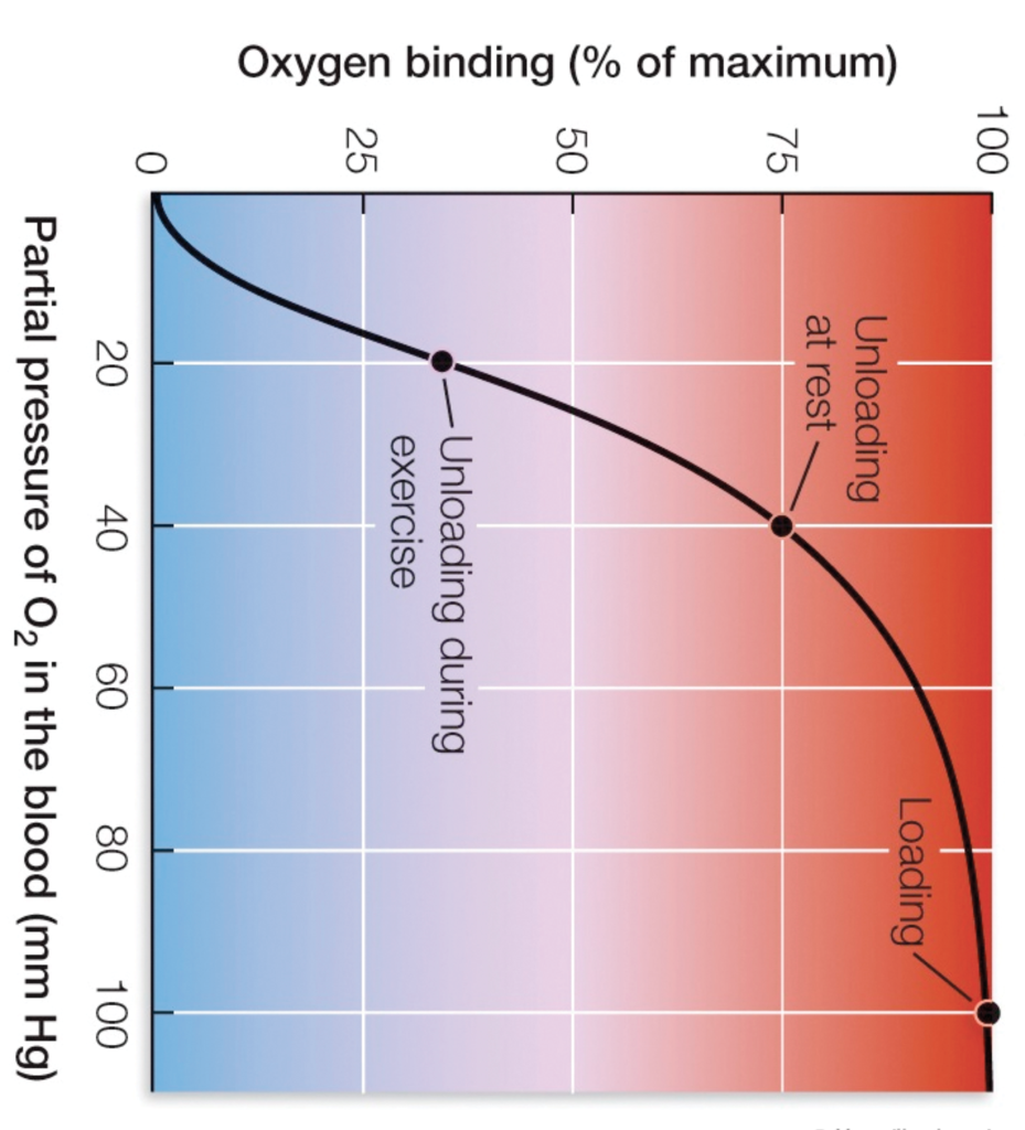 Solved Refer to the graph showing the loading and unloading | Chegg.com