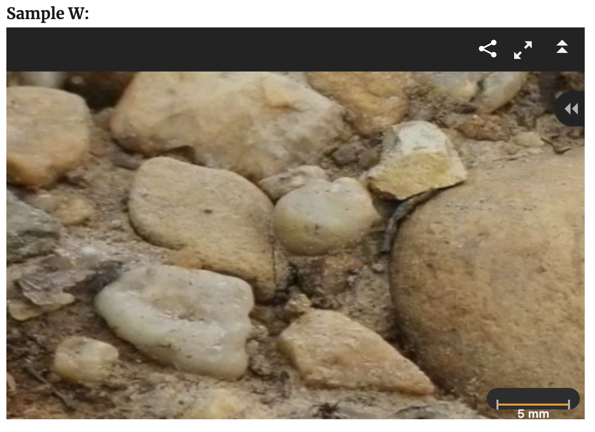 Solved Examine the coarse-grained samples T, U, V, and W. | Chegg.com