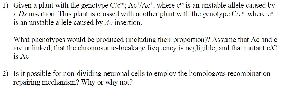 Solved 1) Given a plant with the genotype C/cm; Ac+/Act, | Chegg.com