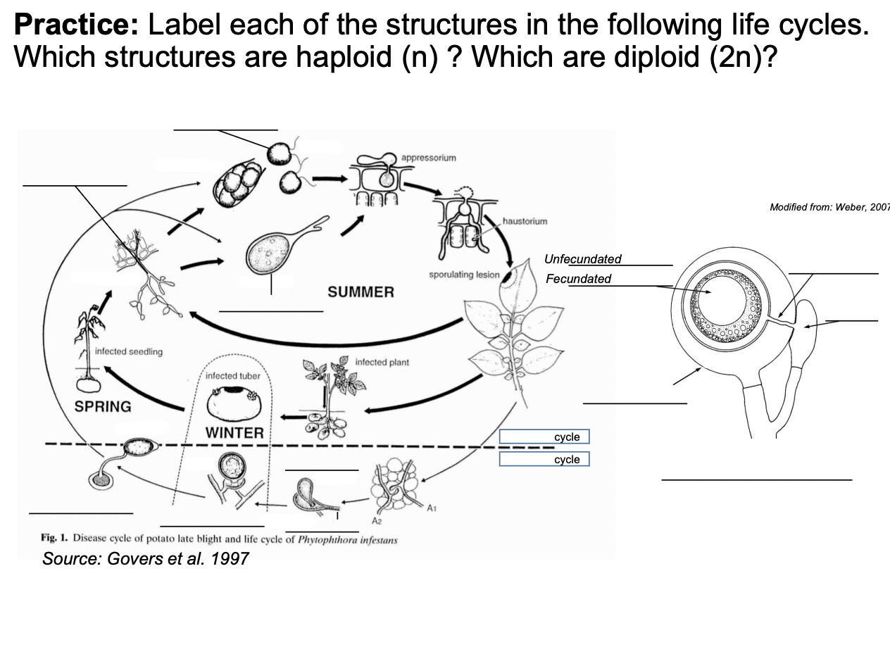 Solved Practice: Label each of the structures in the | Chegg.com