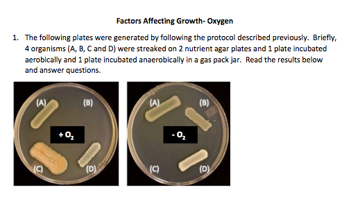 Solved Factors Affecting Growth- Oxygen The following plates | Chegg.com