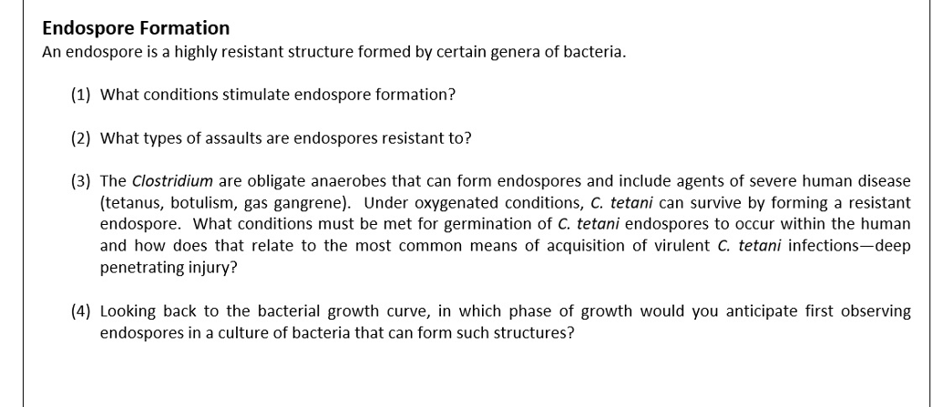 Solved Endospore Formation An endospore is a highly | Chegg.com