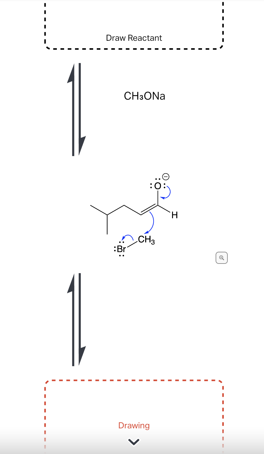 Solved 1 CH3ONa Q 16 Drawing | Chegg.com