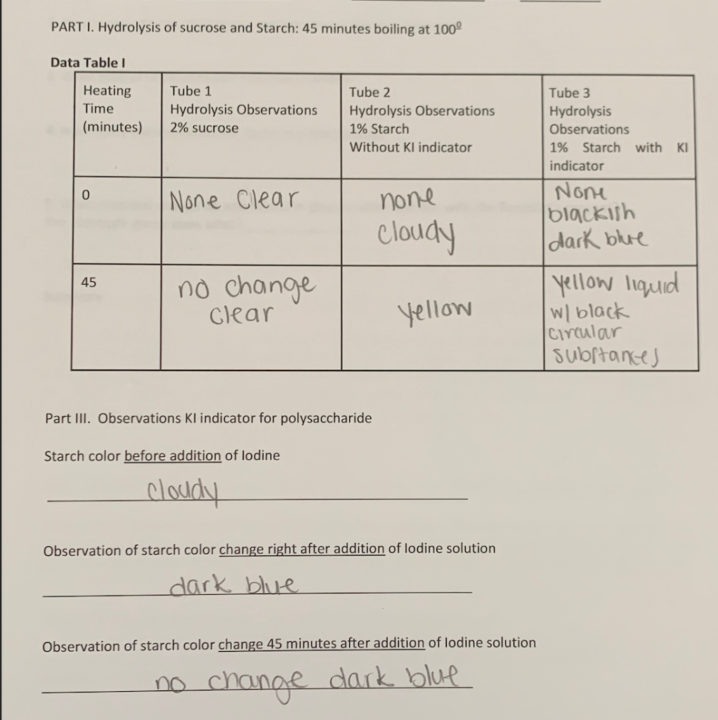 Solved Experimental Procedure Beaker 1 (test tubes 1-3) HCl; | Chegg.com