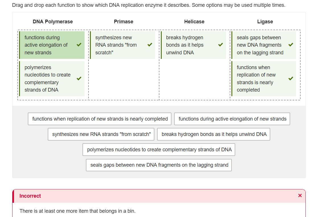 Solved Drag and drop each function to show which DNA | Chegg.com