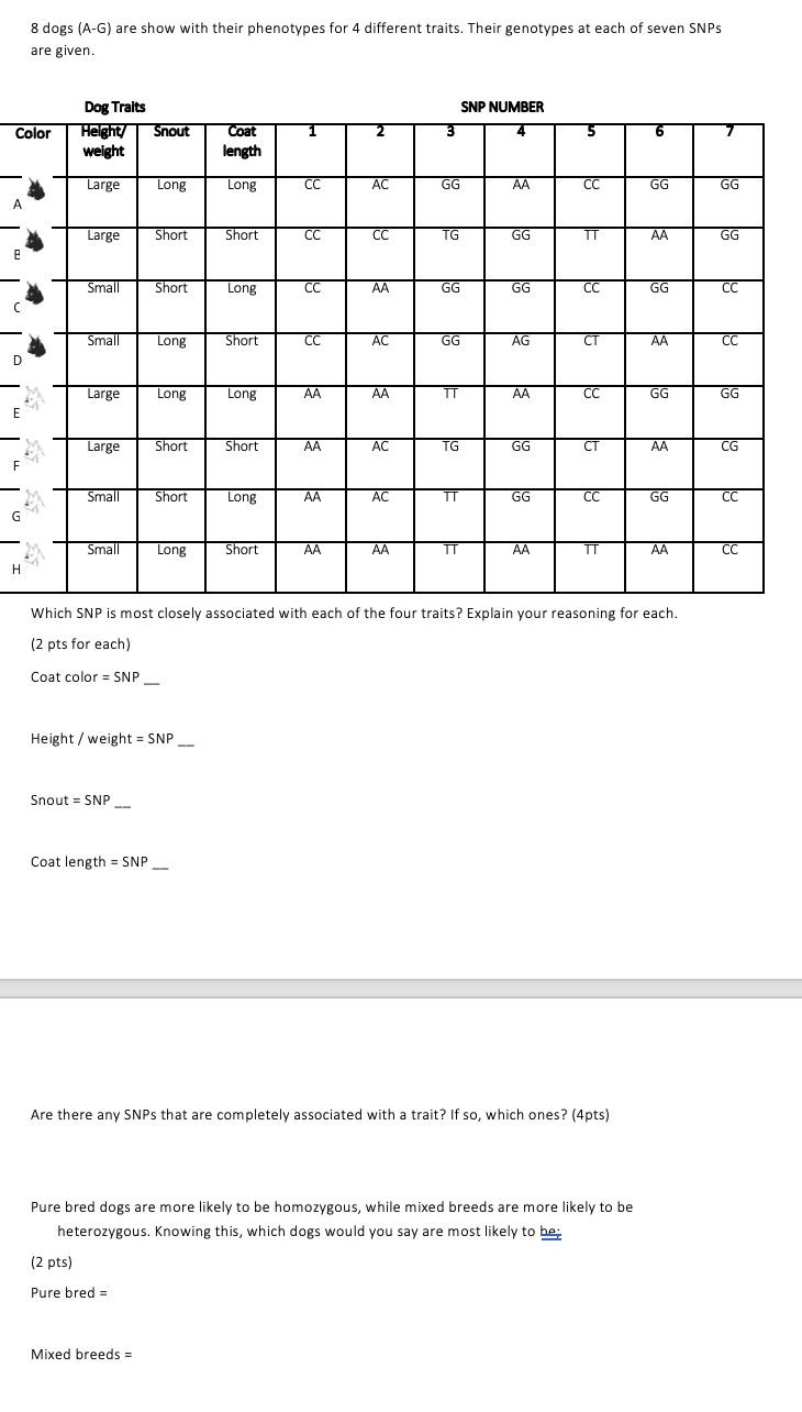 Solved 8 dogs (A-G) are show with their phenotypes for 4 | Chegg.com