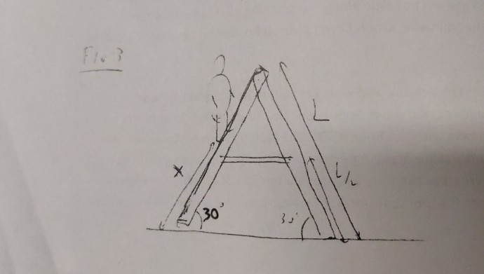 Solved 3. A ladder of mass 20 kg, of an inverted V shape and | Chegg.com