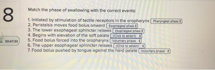 Solved 8 Match the phase of swallowing with the correct | Chegg.com