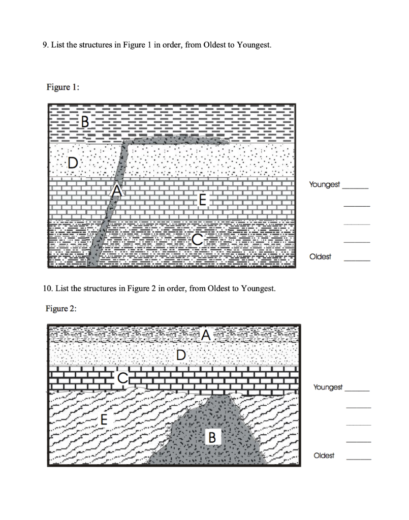 Solved 9. List the structures in Figure 1 in order, from | Chegg.com
