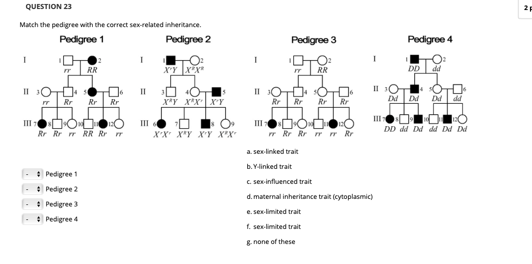 Solved Question 23 Match The Pedigree With The Correct 