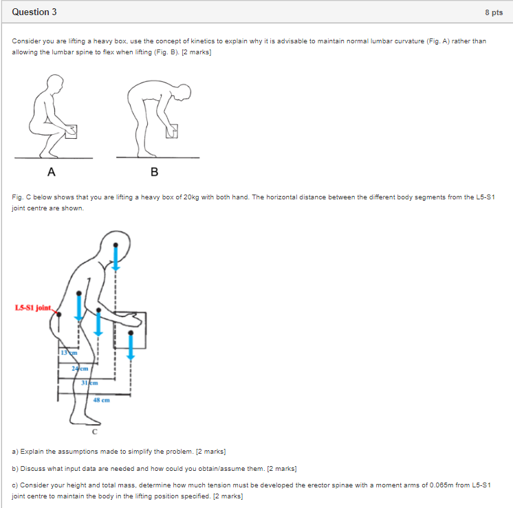 Solved Question 3 8 pts Consider you are lifting a heavy | Chegg.com