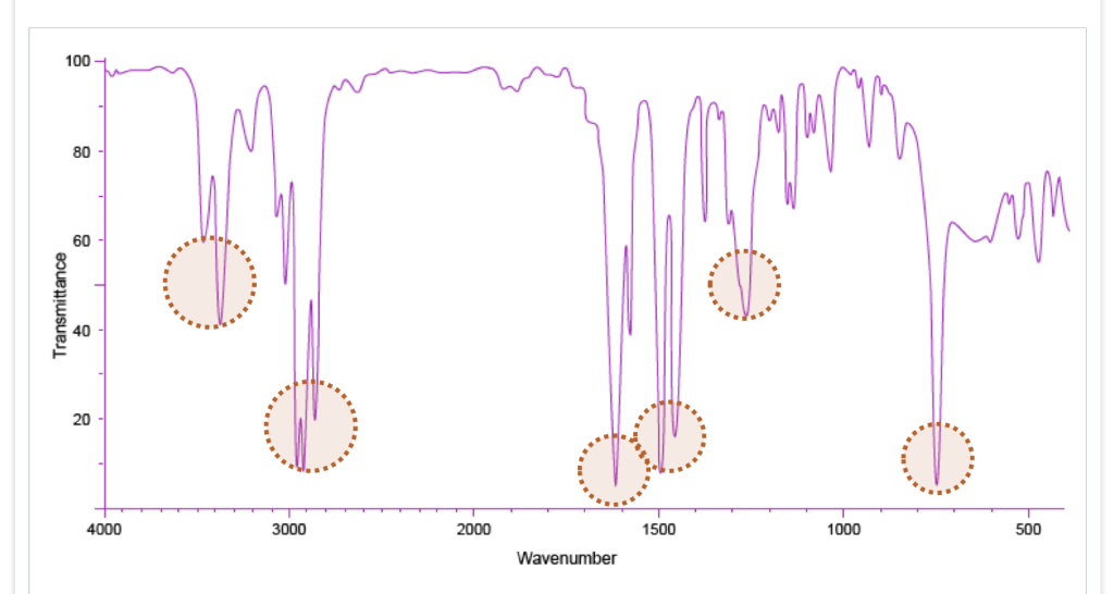 Solved In the IR spectrum, what are the corresponding peaks | Chegg.com