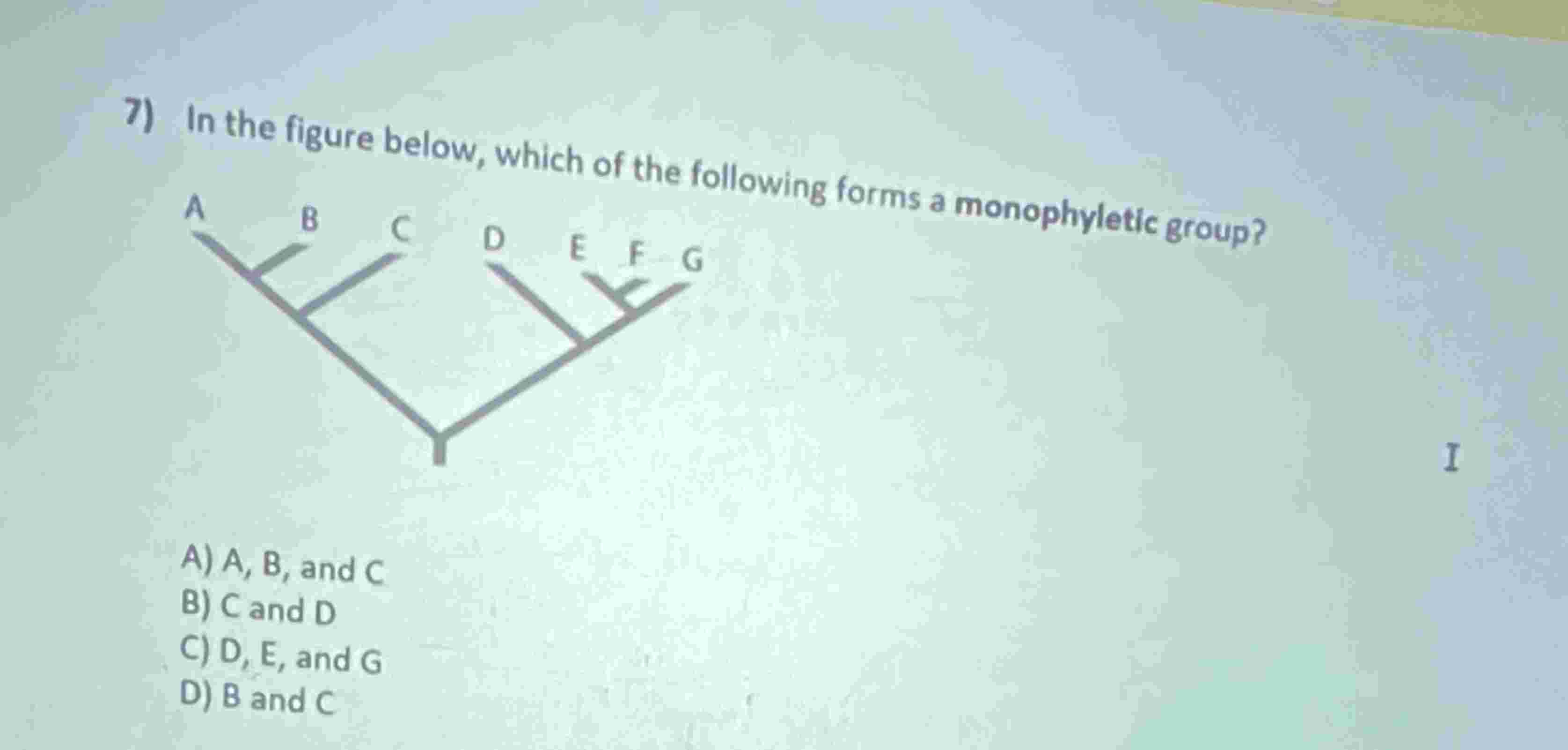 Solved 7) ﻿In the figure below, which of the following forms | Chegg.com