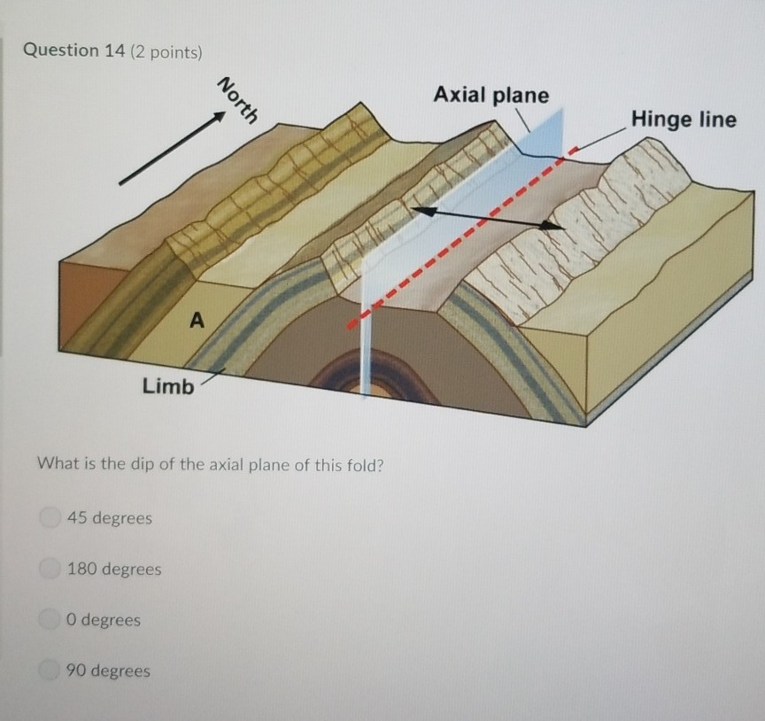 Solved Question 14 (2 points) Axial plane Hinge line Limb | Chegg.com