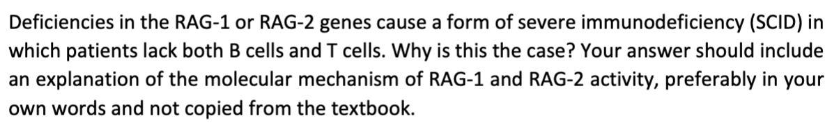 Solved Deficiencies in the RAG-1 or RAG-2 genes cause a form | Chegg.com