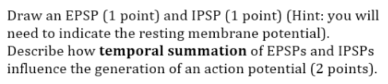 Draw an EPSP (1 point) and IPSP (1 point) (Hint: you | Chegg.com