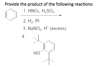 Solved Provide the product of the following reactions: 1. | Chegg.com
