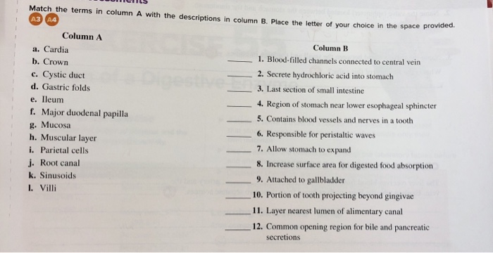 Solved Match the terms in column A with the descriptions in | Chegg.com