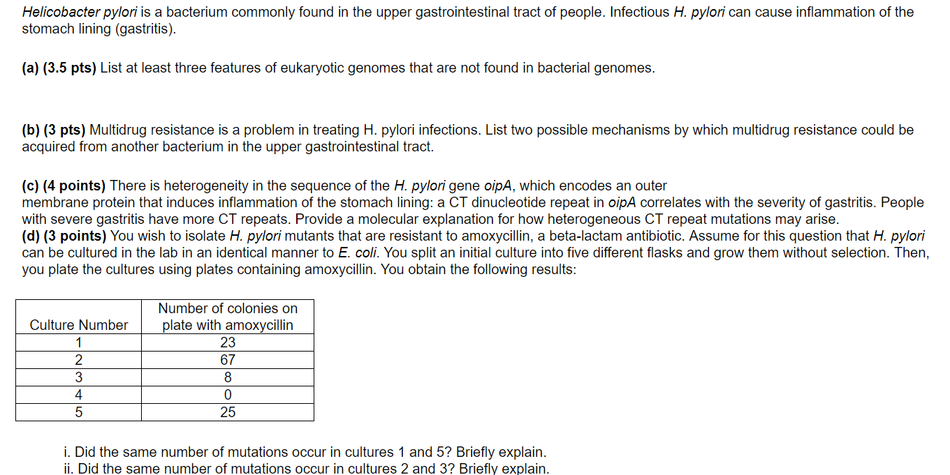 Solved Helicobacter pylori is a bacterium commonly found in | Chegg.com