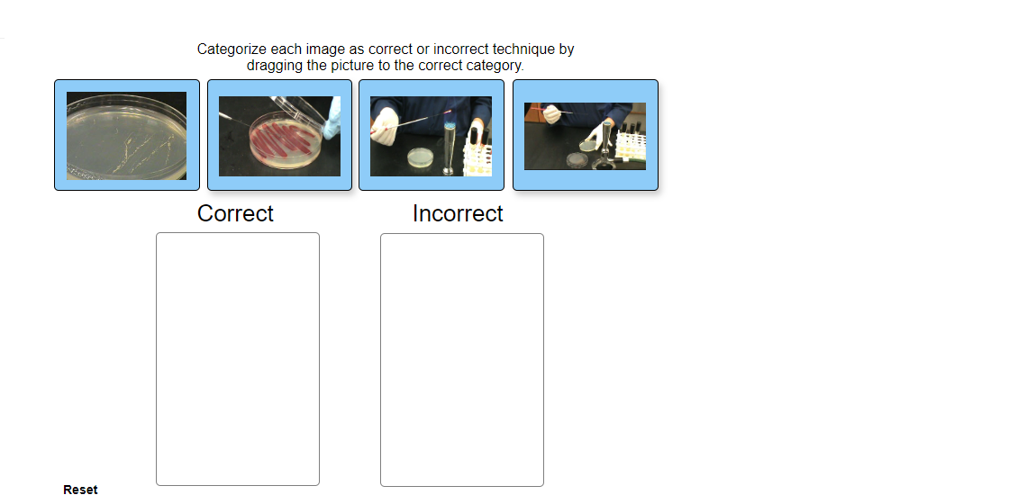 Solved Categorize each image as correct or incorrect | Chegg.com