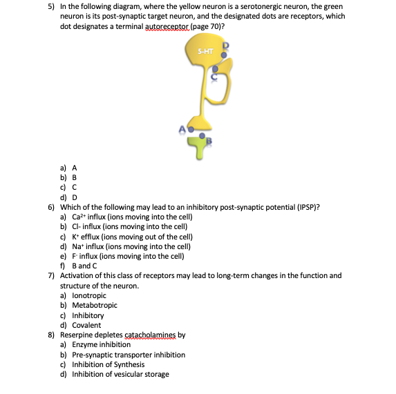 Solved 5) In the following diagram, where the yellow neuron | Chegg.com