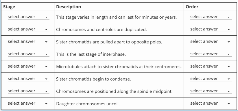 Solved Ordering the cell cycle The following table describes | Chegg.com