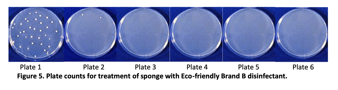 Solved Figure 3. Plate counts for control sponge.Figure 1. | Chegg.com