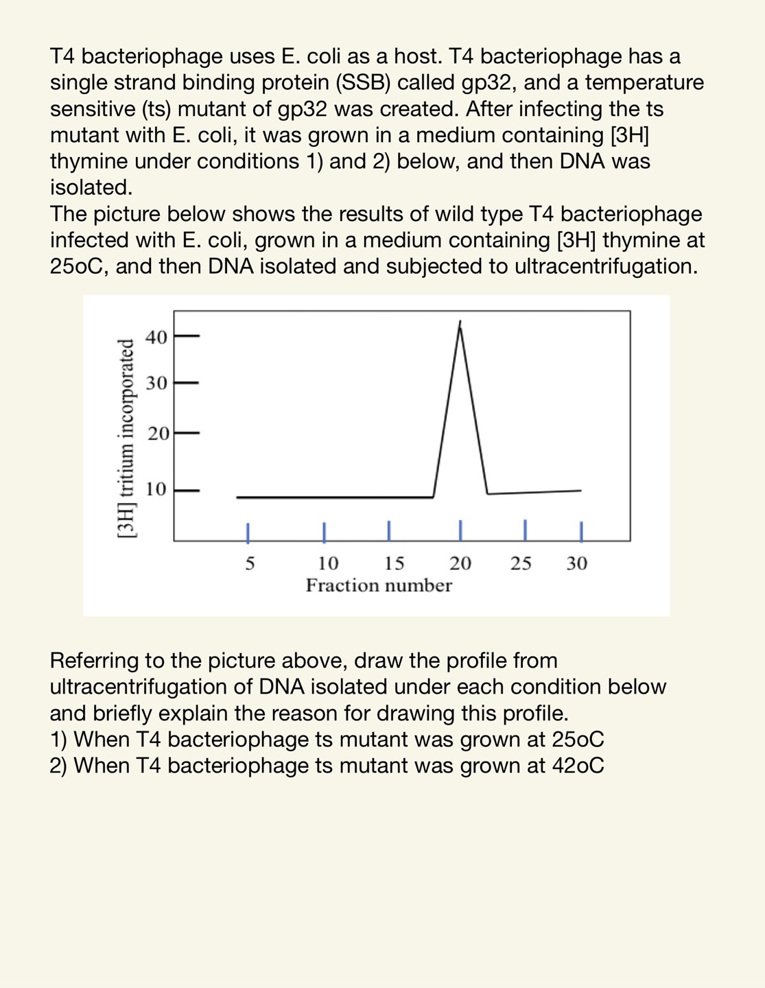 Solved T4 bacteriophage uses E. coli as a host. T4 | Chegg.com