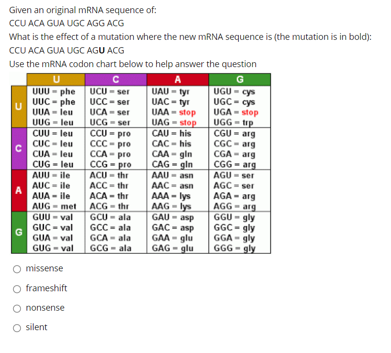 Solved Given an original mRNA sequence of: CCU ACA GUA UGC | Chegg.com