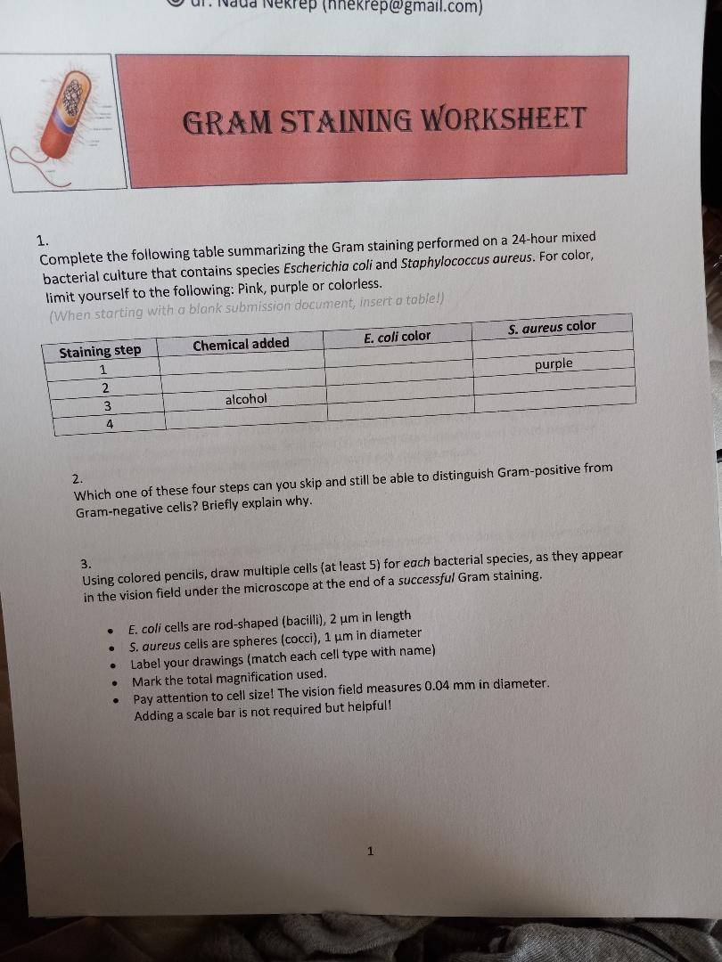 Solved Nekrep innekrep@gmail.com) GRAM STAINING WORKSHEET 1. | Chegg.com