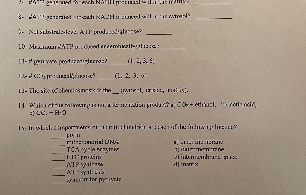 Solved 8- \#ATP generated for each NADH produced within the | Chegg.com