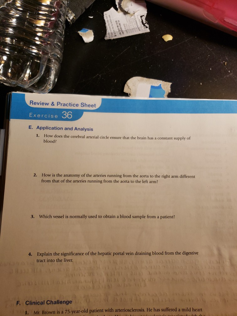Solved Review & Practice Sheet Exercise 36 E. Application | Chegg.com